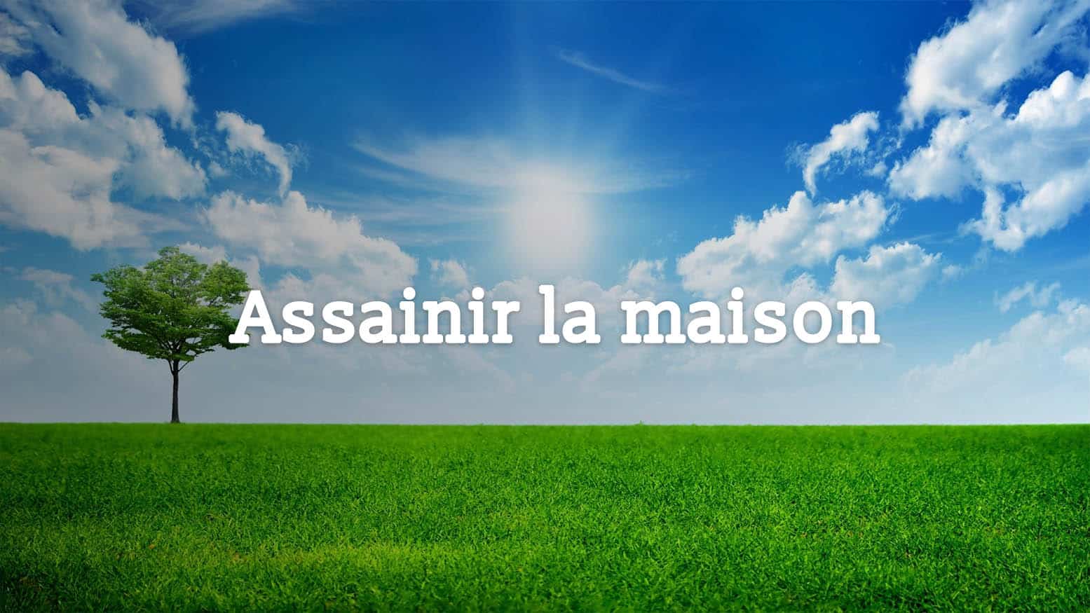 Assainir la maison avec les Huiles Essentielles - Au Bonheur d'Essences